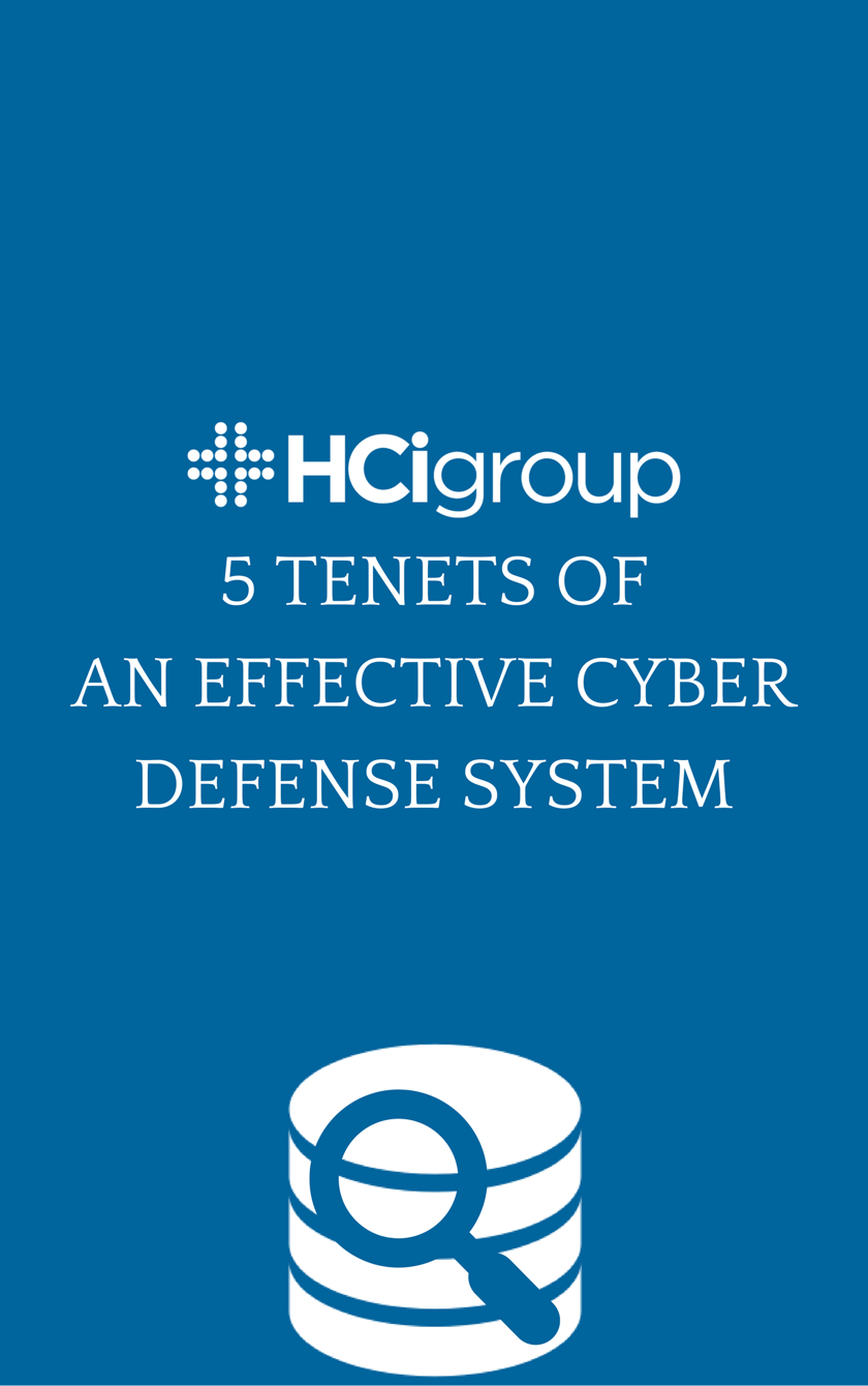5 Tenets of an Effective Cyber Defense System | The HCI Group